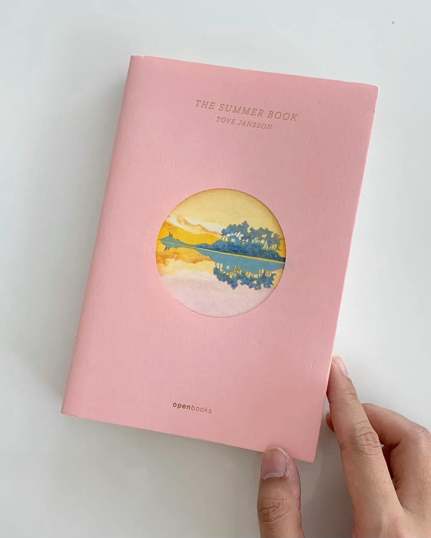 Summer Reading book summary - การค้นหาใน Lemon8