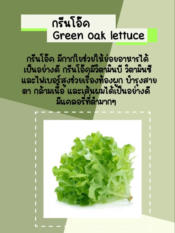 ผักเคล (Kale) ประโยชน์ โทษที่ต้องรู้ และวิธีกินให้ดีต่อสุขภาพ | แกลเลอรีที่โพสต์โดย PloyPloy ...
