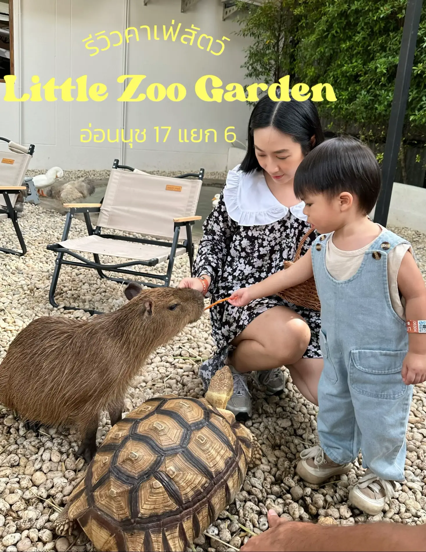รีวิวคาเฟ่สัตว์ Little Zoo Garden | Gallery posted by ป๋อว่าดีย์ | Lemon8