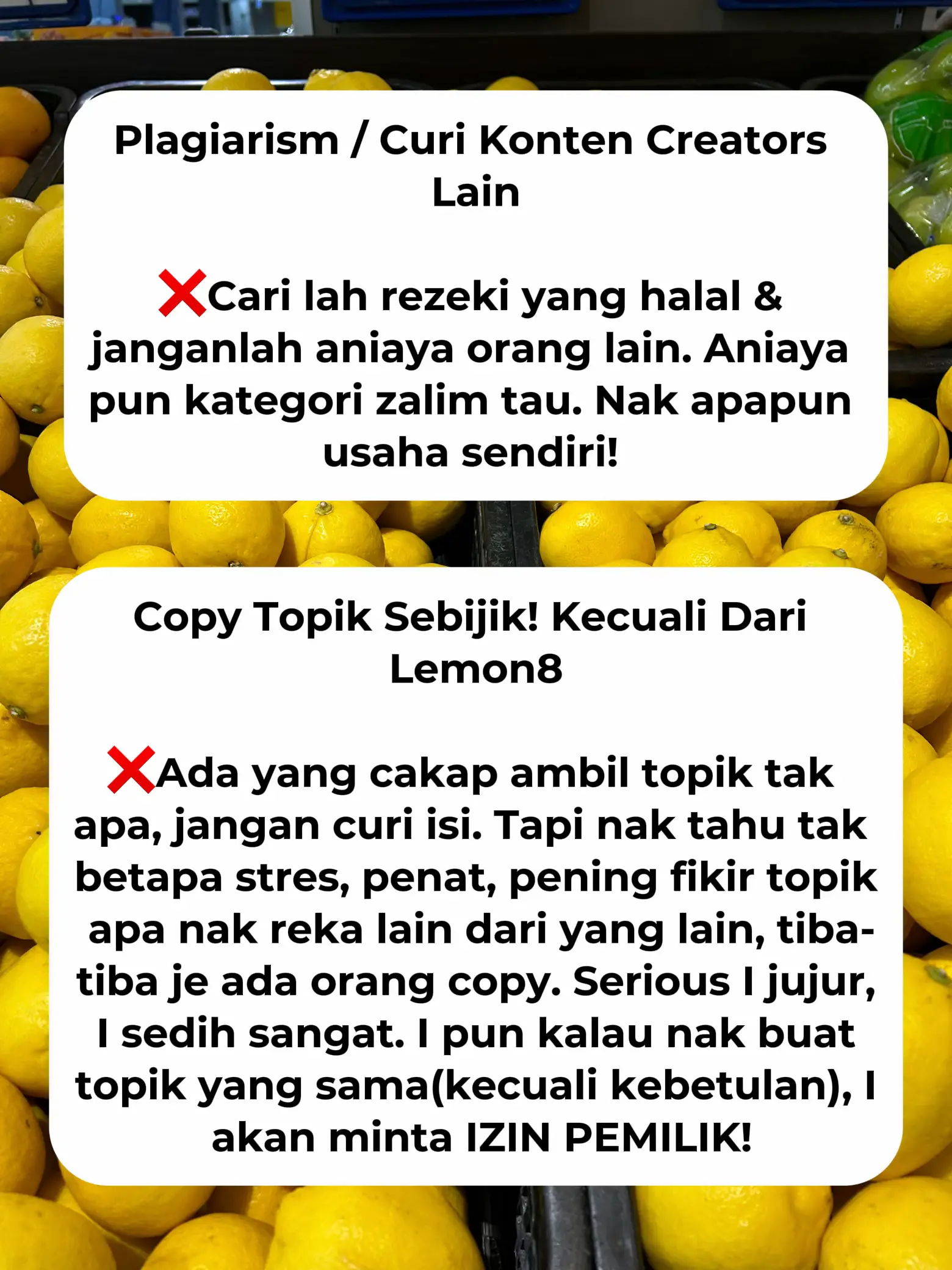 Pencuri Movies Sub Malay - Carian Lemon8