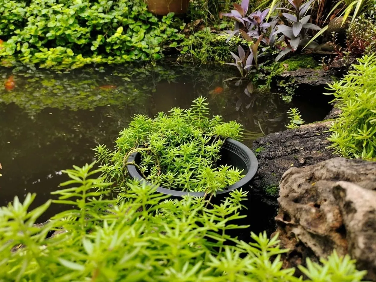 Seven Rabbit Coffee and Tea คาเฟ่ในสวน ย่านสวนหลวง | แกลเลอรีที่โพสต์ ...