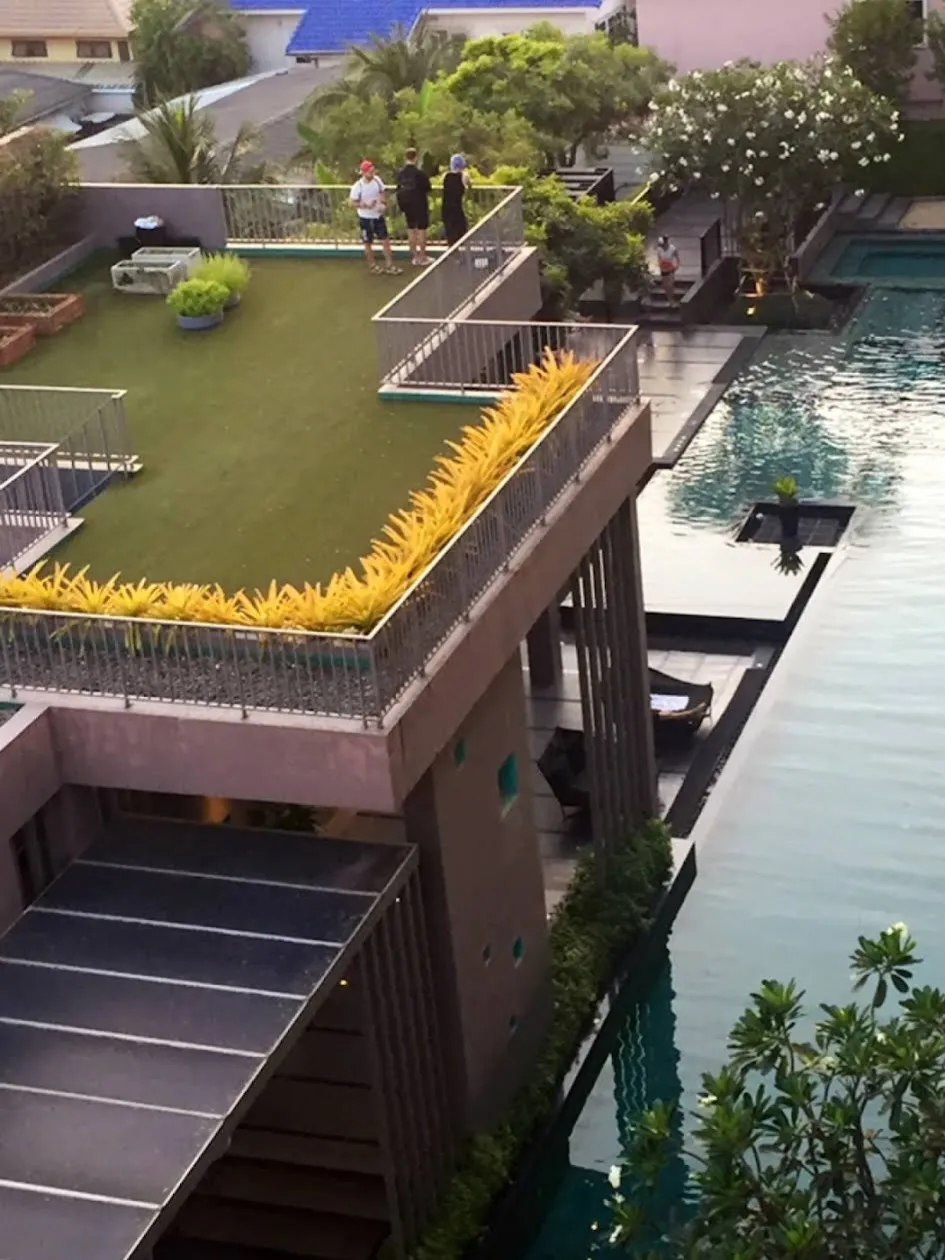 jidapa433 โพสต์ผลงานแล้ว ดูและ | แกลเลอรีที่โพสต์โดย Jidapa | Lemon8