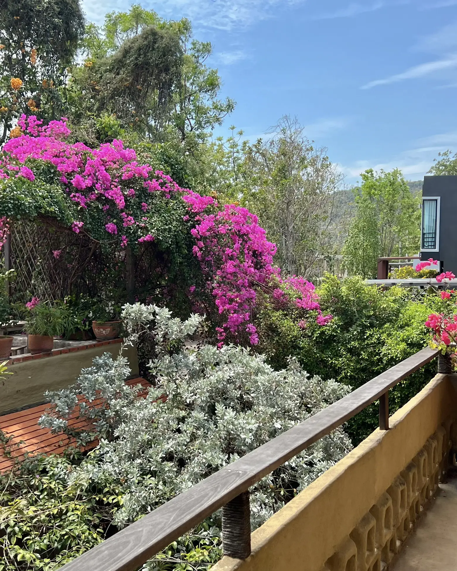 Pranberry Earth ที่พักสุดมินิมอลในปราณบุรี🍓 | แกลเลอรีที่โพสต์โดย Gnapq🍒 | Lemon8