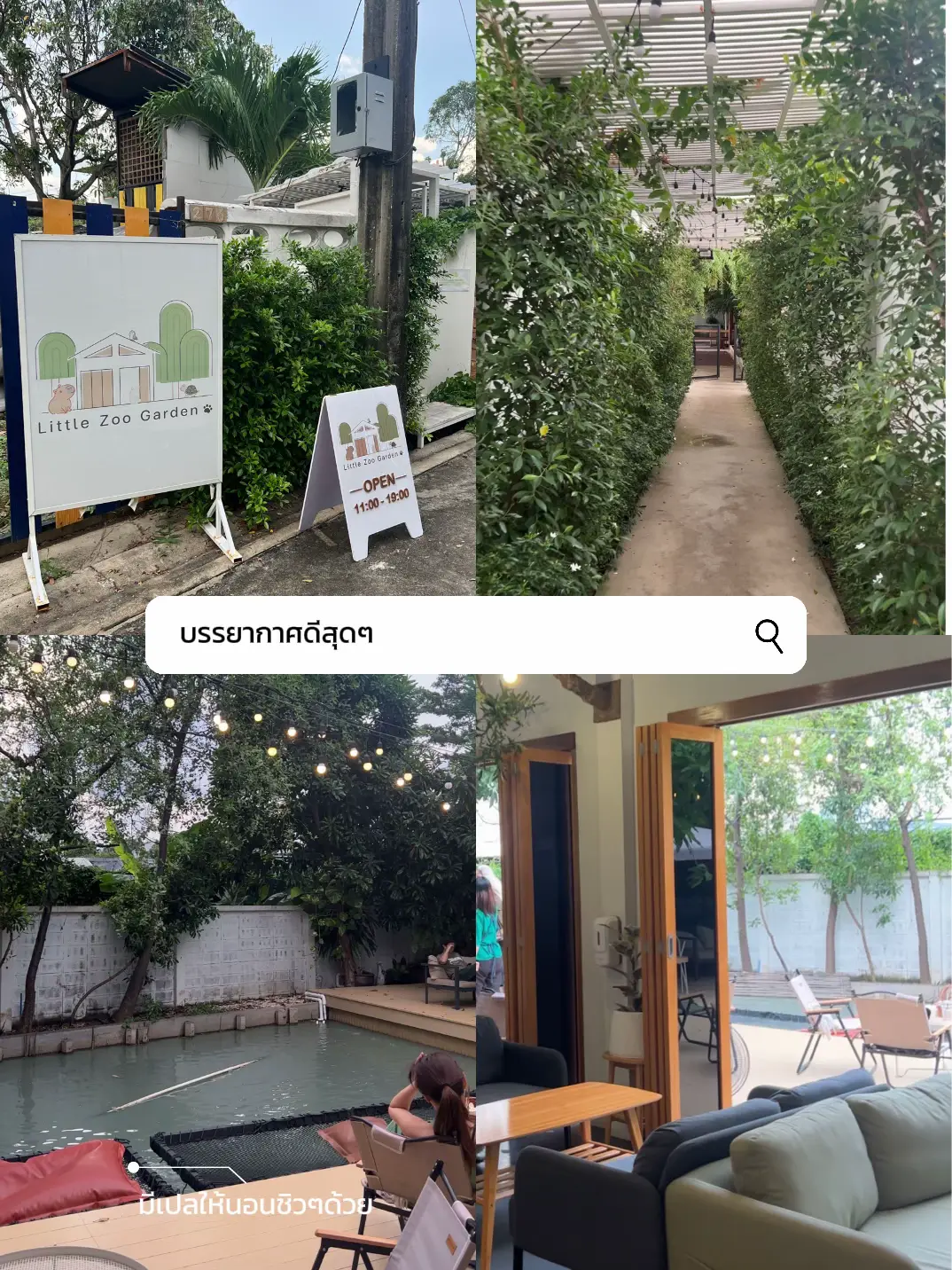 Little Zoo Cafe คาเฟ่สัตว์แปลกใจกลางกรุง💥 | แกลเลอรีที่โพสต์โดย ...