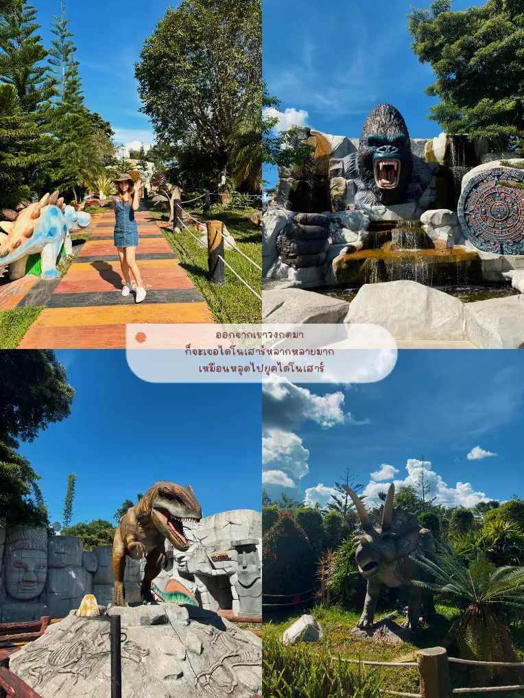 พาเที่ยว Amazing Dinosaur 🦕 เขาค้อ | แกลเลอรีที่โพสต์โดย 𝒎𝒘 🐰 | Lemon8