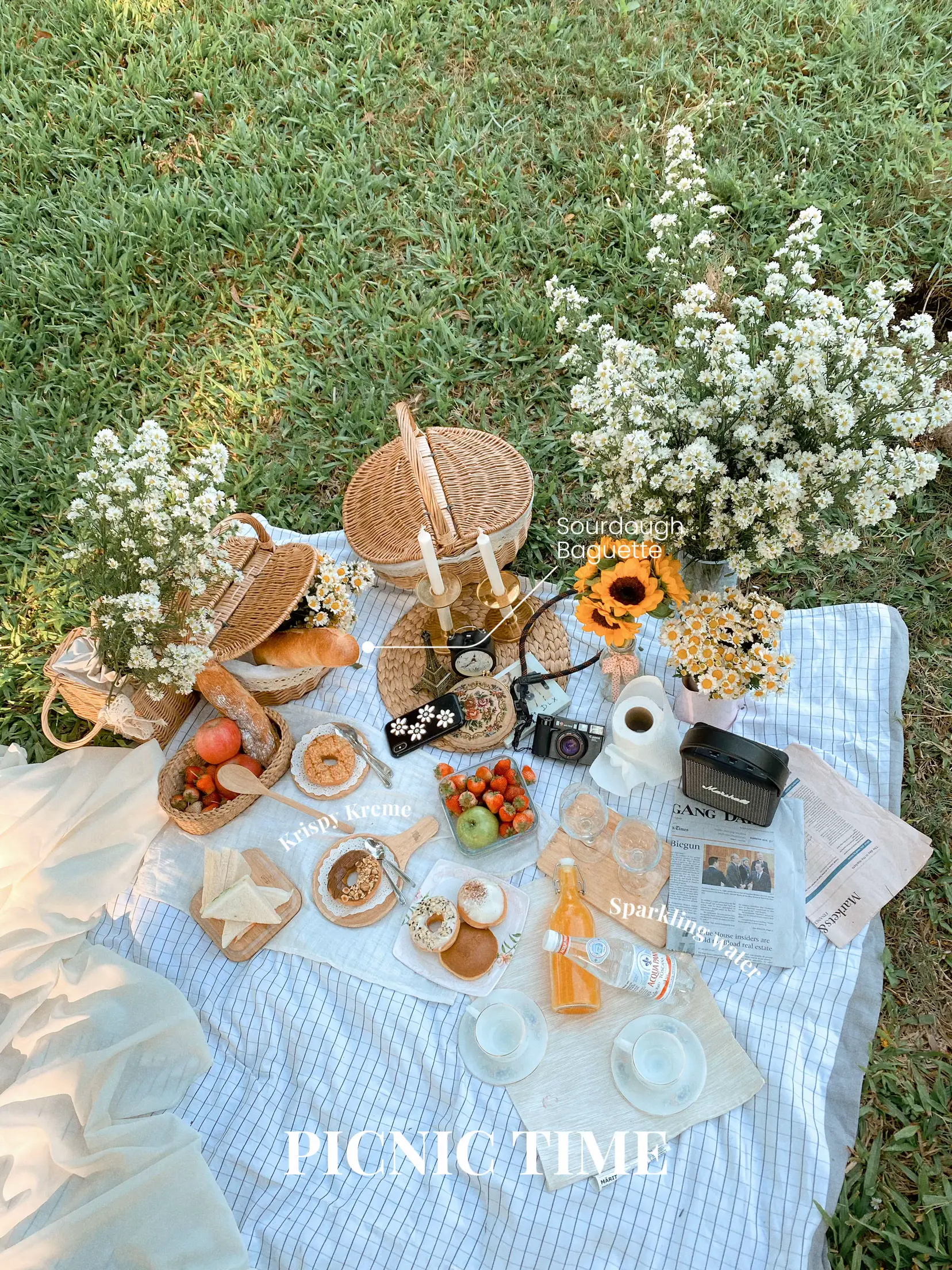 Picnic Ideas | สวนรถไฟ(สวนวชิรเบญจทัศ) | แกลเลอรีที่โพสต์โดย James ...