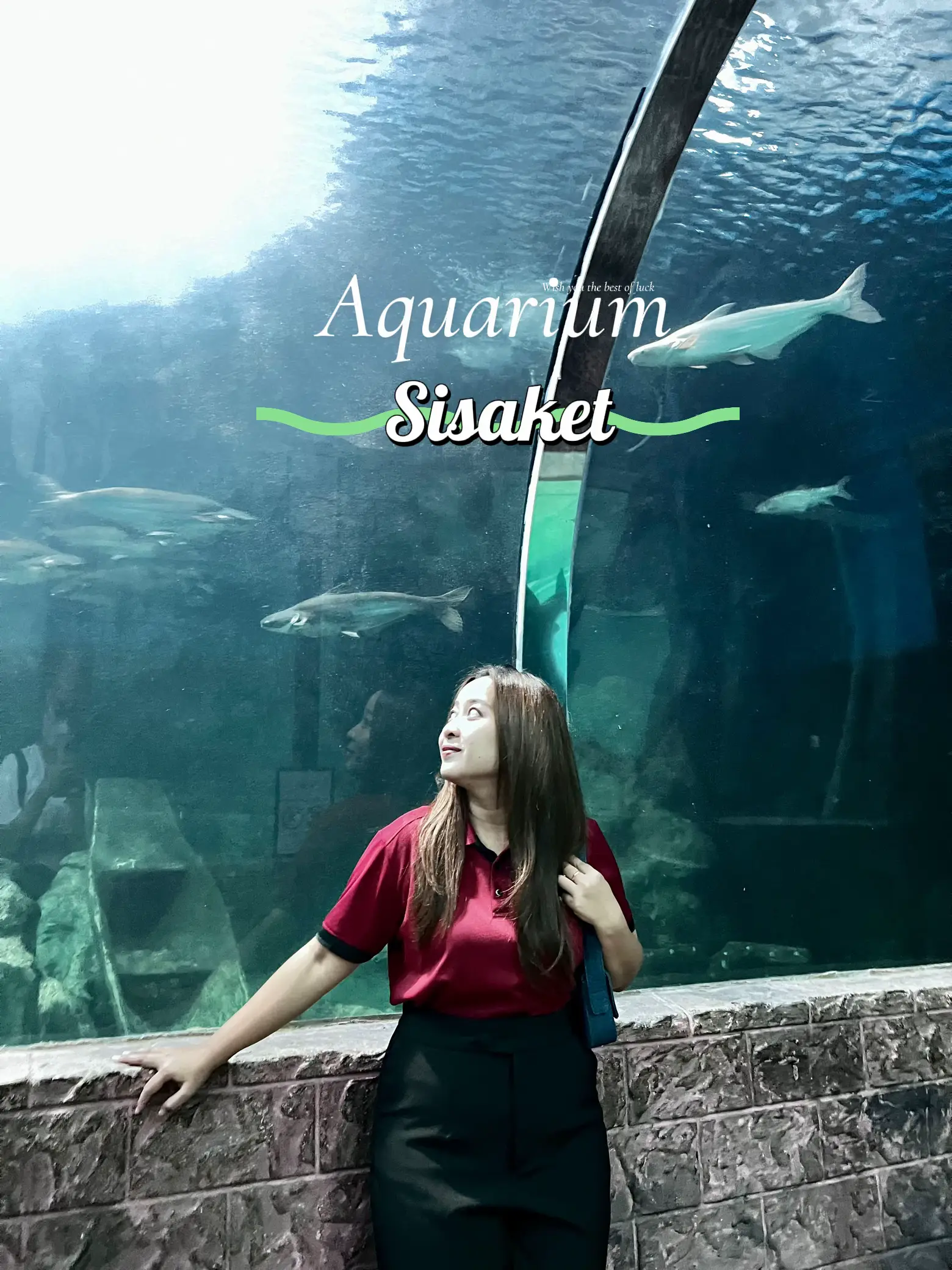 Wish you the best of luck | แกลเลอรีที่โพสต์โดย Mi | Lemon8