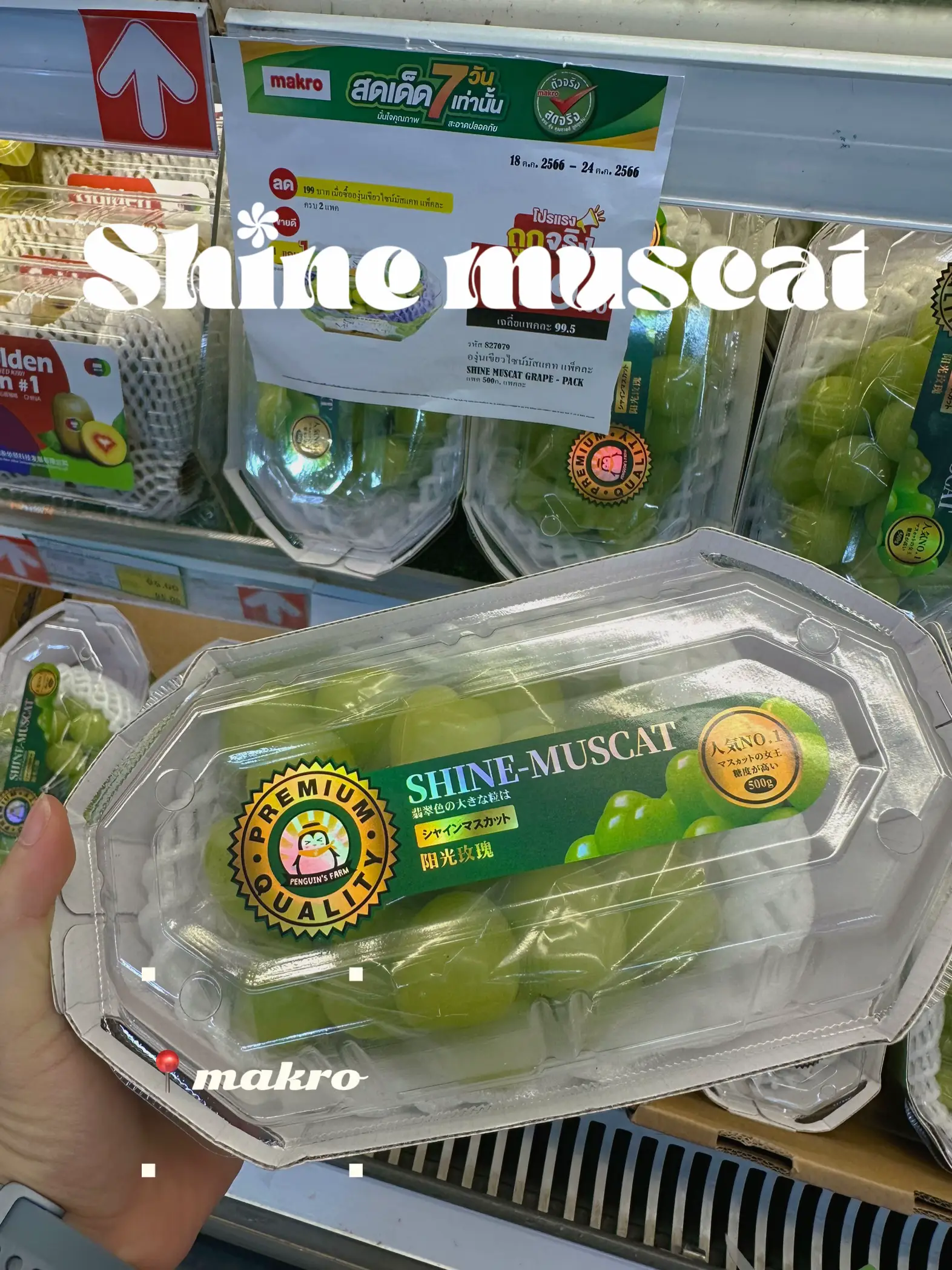 Shine muscat | แกลเลอรีที่โพสต์โดย Boono | Lemon8