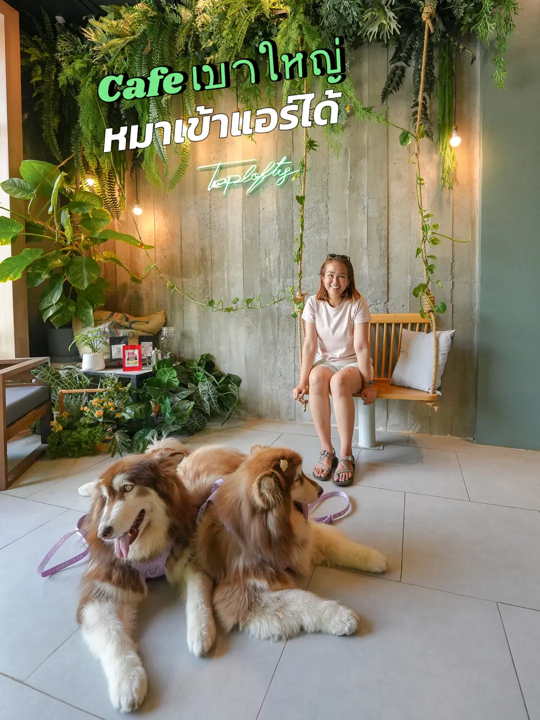 Top lofty Cafe | Gallery posted by Mhasongbai | Lemon8