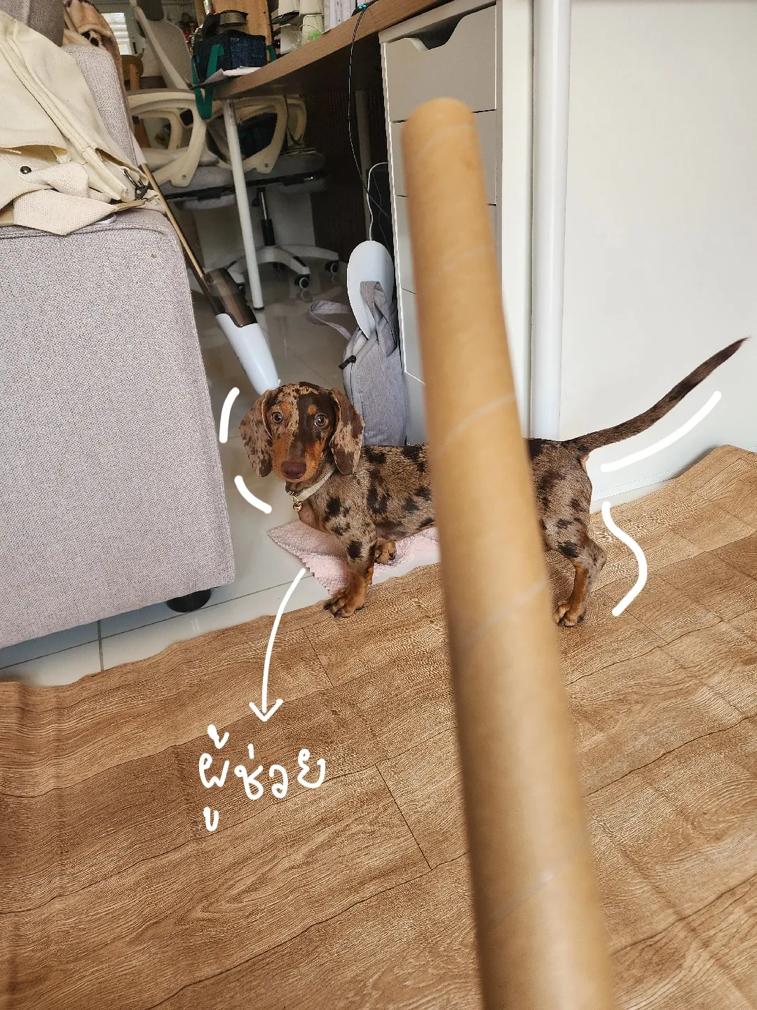 Floor Sticker รีวิวสติ๊กเกอร์ติดพื้นนนน มินิมอลสุด | แกลเลอรีที่โพสต์ ...