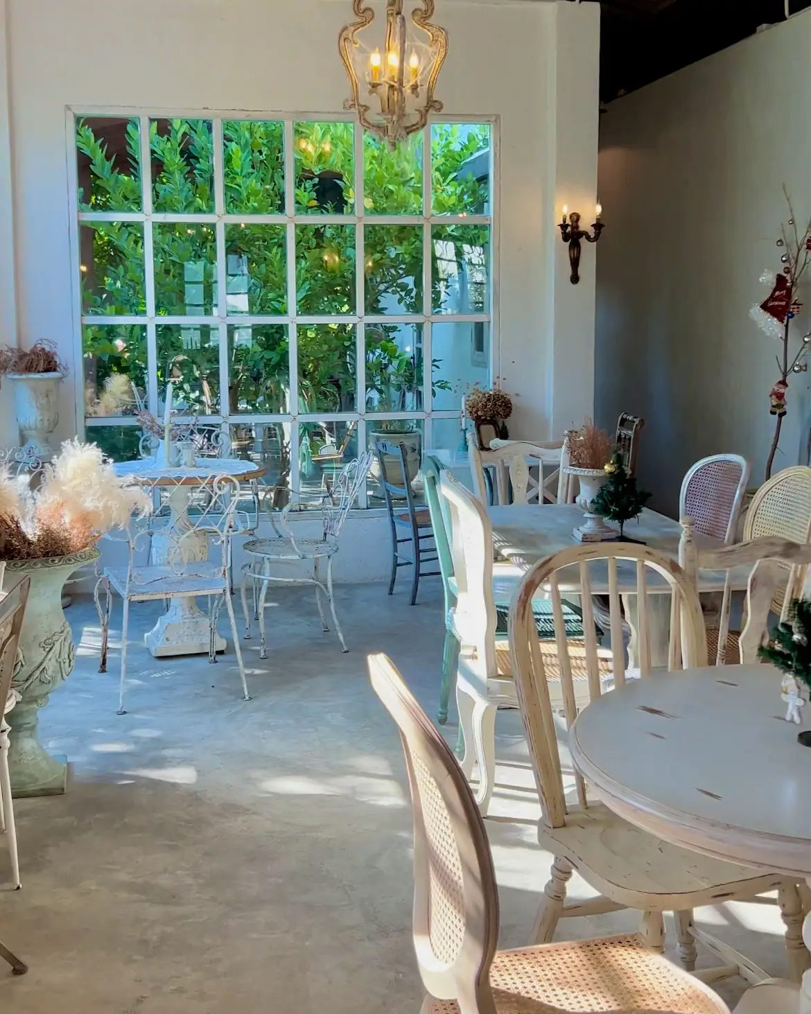 พิกัดคาเฟ่ชะอำ | แกลเลอรีที่โพสต์โดย Petong (เปตอง) | Lemon8