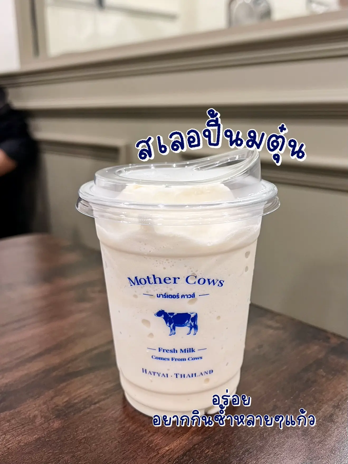 Mother Cows 🐄 ร้านดังจากหาดใหญ่ บุกบรรทัดทอง 💥 | แกลเลอรีที่โพสต์โดย ...