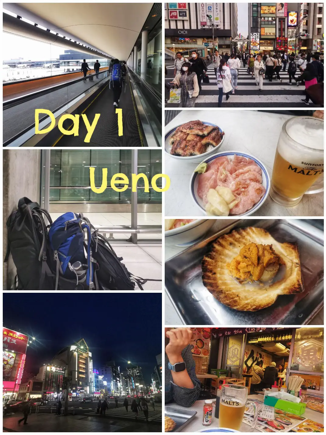 แจกแพลนเที่ยวปี2023 Tokyo&Tohoku 8วัน7คืน | แกลเลอรีที่โพสต์โดย Ratchaya K. | Lemon8