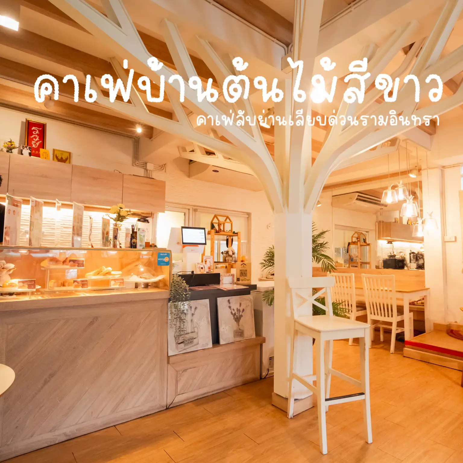 บ้านต้นไม้สีขาว 𝑩𝒂𝒂𝒏 𝑻𝒐𝒏 𝑴𝒂𝒊 𝑺𝒊 𝑲𝒉𝒂𝒘 🏡🤍 | แกลเลอรีที่โพสต์โดย หนิงมาแชร์ | Lemon8