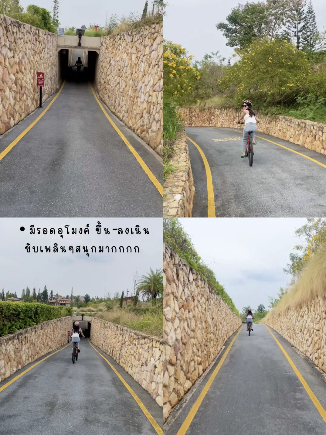 ปั่นจักรยานเขาใหญ่ ฟิลต่างประเทศ | แกลเลอรีที่โพสต์โดย Ailada | Lemon8