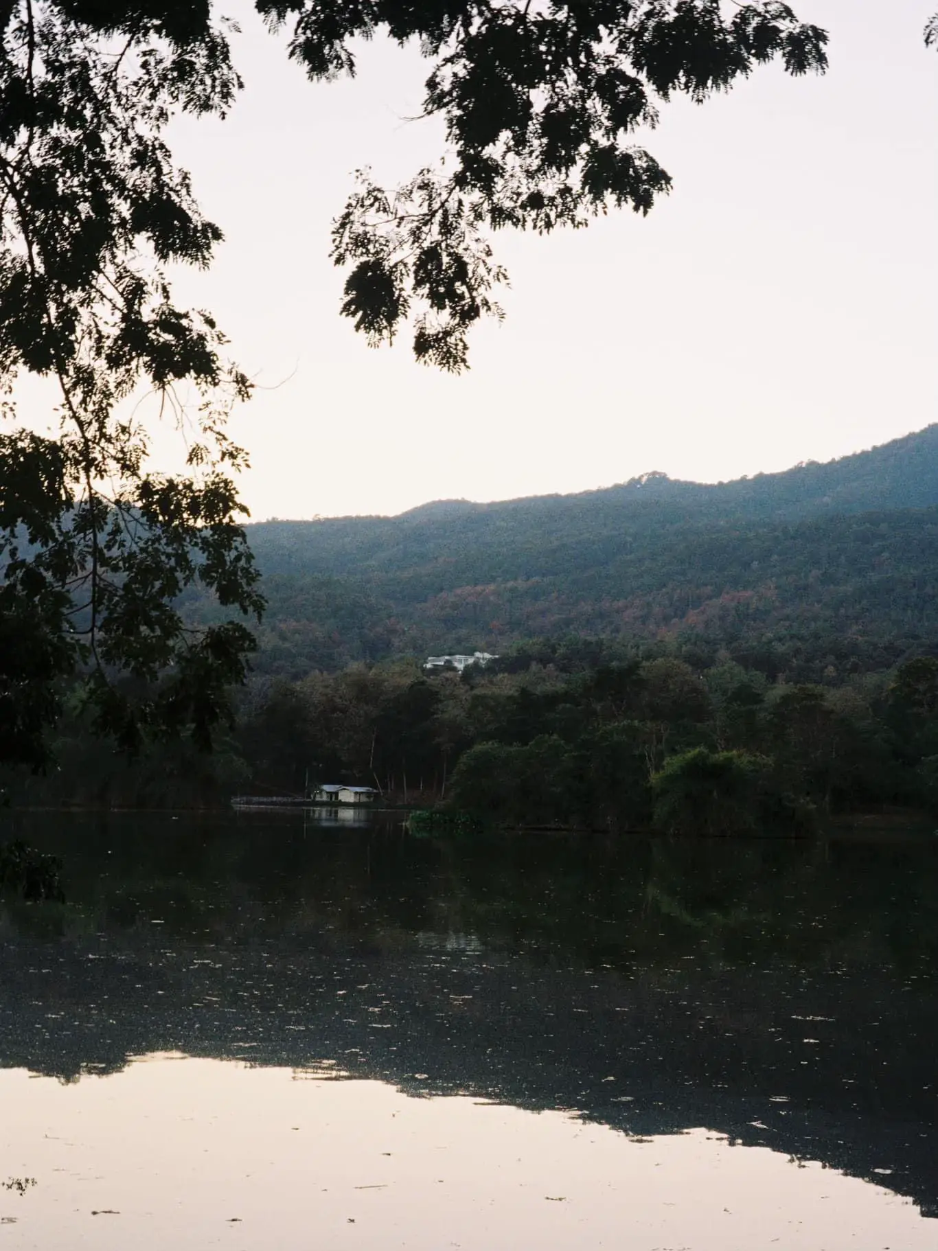 กล้องฟิล์มที่ใช้งานคุ้มที่สุด! 📸 | แกลเลอรีที่โพสต์โดย Vg.good | Lemon8