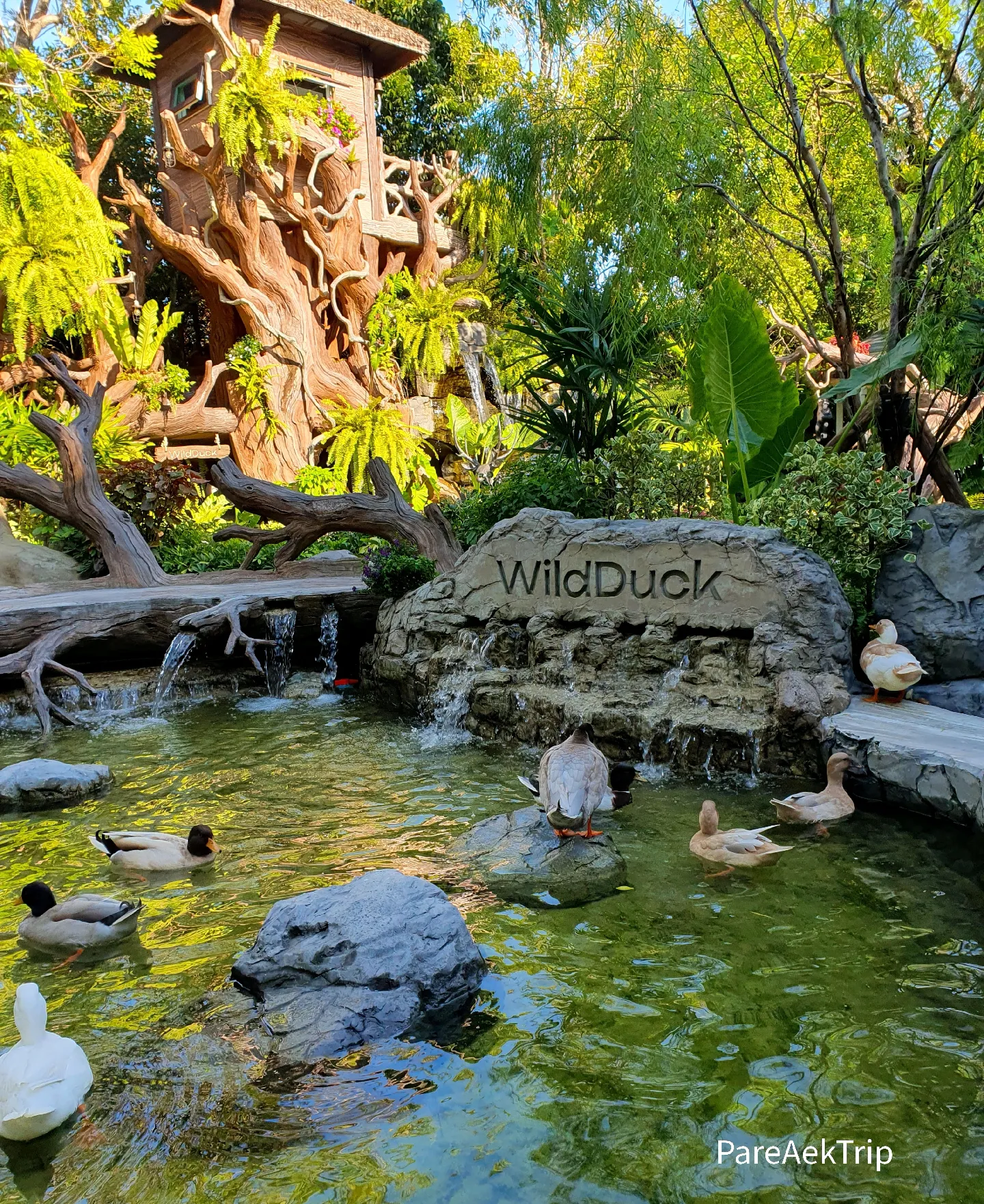 Wild duck cafe มีนบุรี | แกลเลอรีที่โพสต์โดย Skinkpare | Lemon8