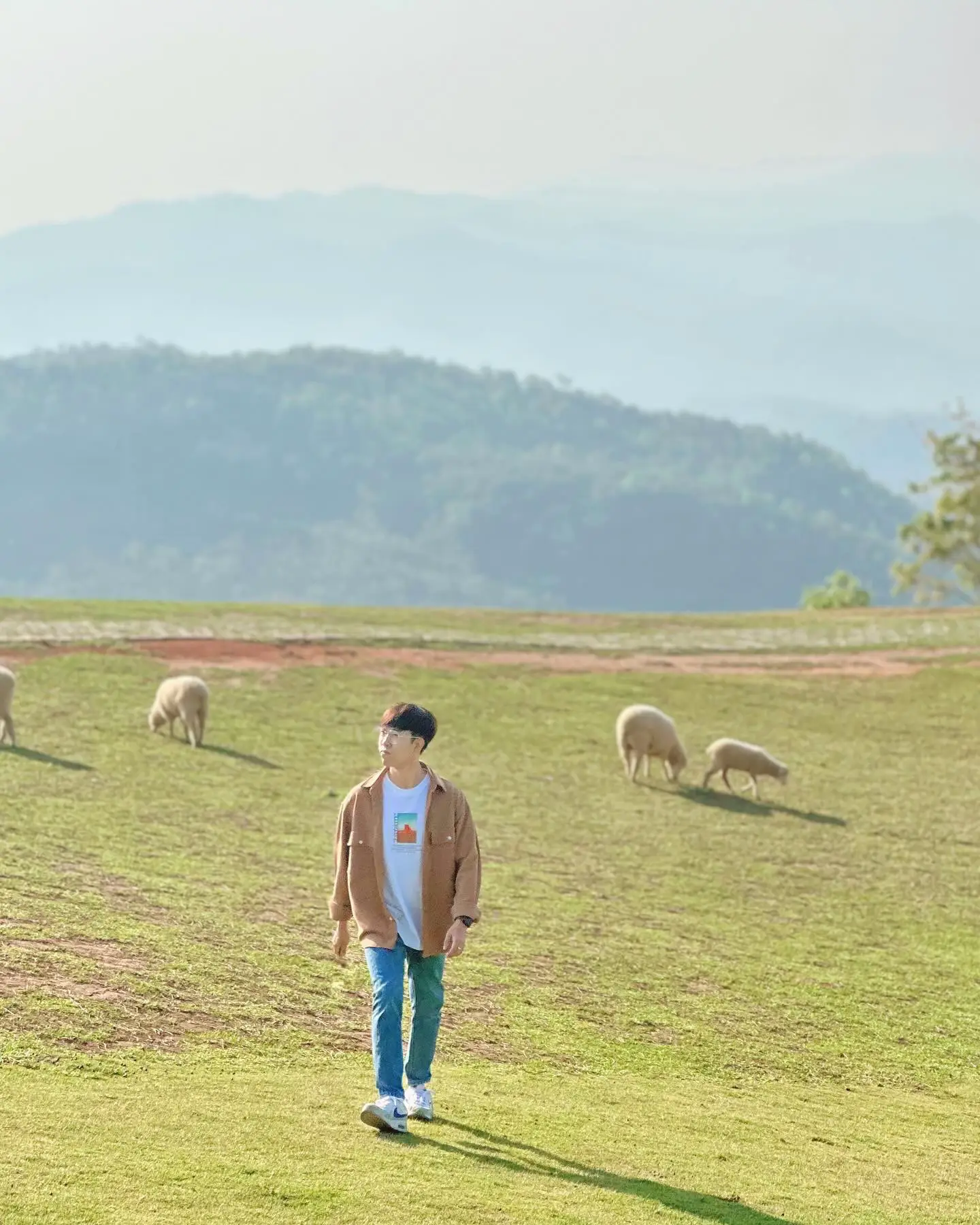 ไปเล่นกับน้องแกะบนภูเขาที่ Akha Farmville เชียงราย | แกลเลอรีที่โพสต์โดย Stay With Frame | Lemon8