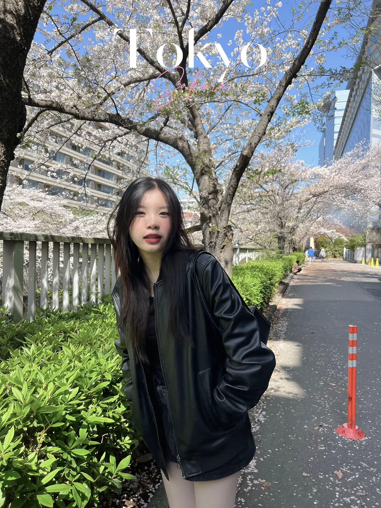 Tokyo | Sakura🌸 | แกลเลอรีที่โพสต์โดย propeller | Lemon8