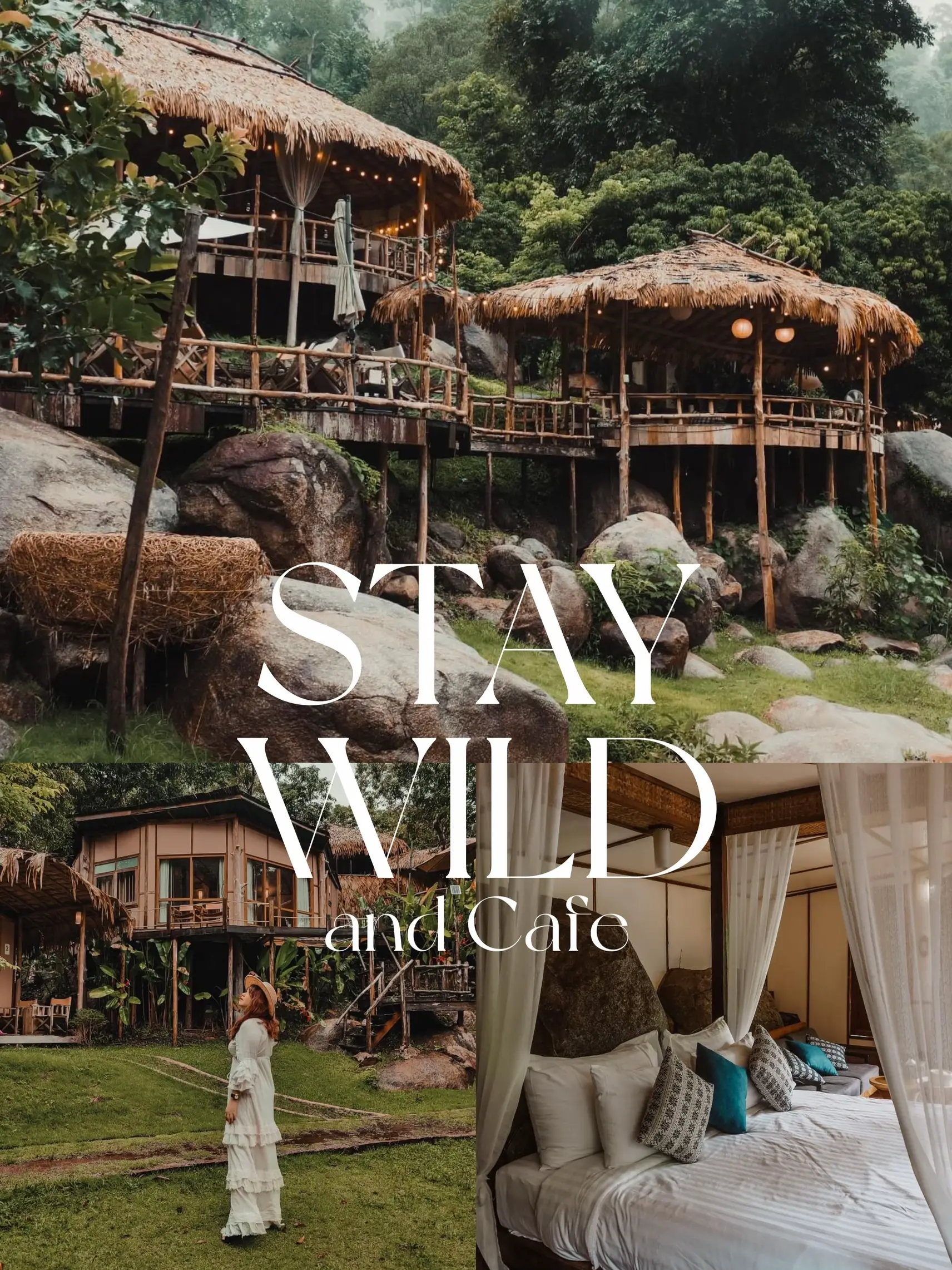 🌿 ชาร์จแบตร่างกาย นอนพักผ่อนดื่มด่ำธรรมชาติ Stay Wild & Caf | แกลเลอรีที่โพสต์โดย Fernfunny | Lemon8