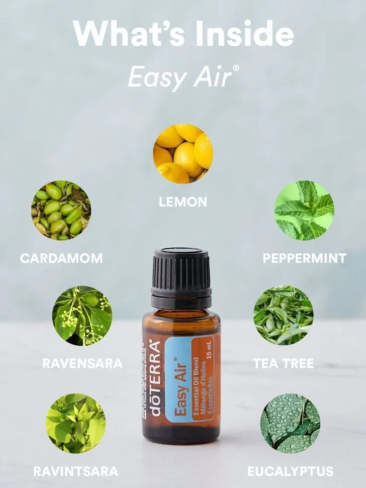 📌ตัวช่วยคนแพ้อากาศ จากธรรมชาติ | แกลเลอรีที่โพสต์โดย Pinto von Siam ...