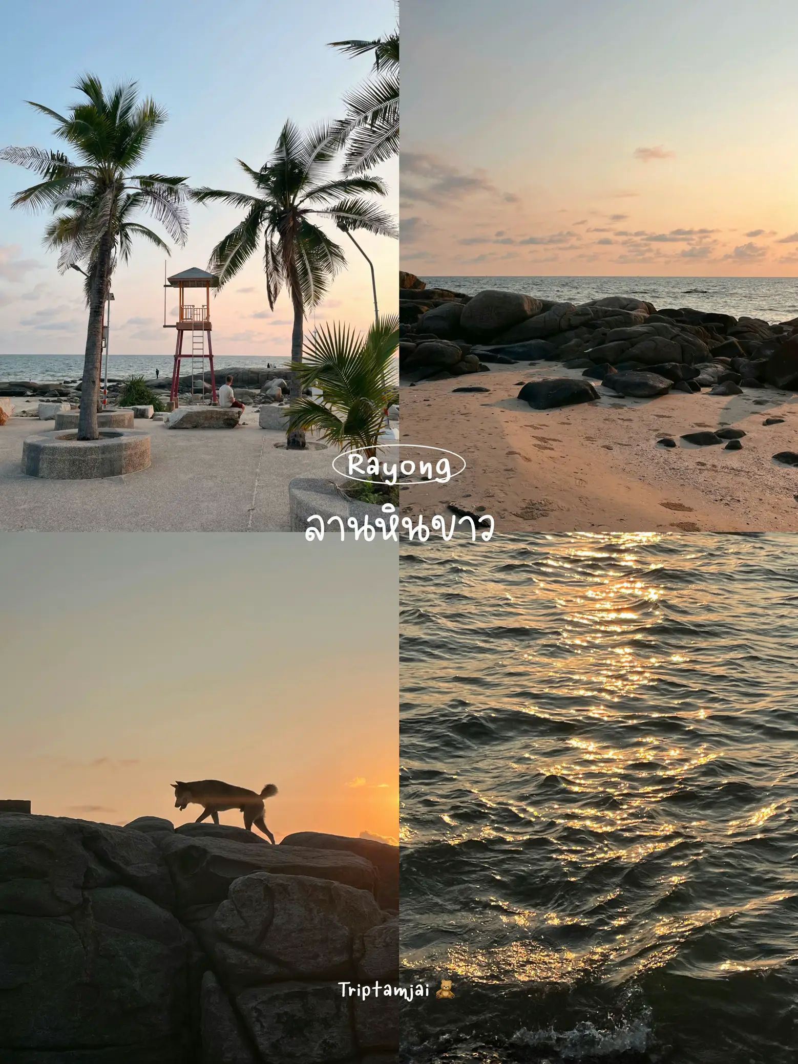 4 พิกัดชมพระอาทิตย์สวยๆที่ระยอง 🫶🏻🌅 | แกลเลอรีที่โพสต์โดย TripTamJai | Lemon8