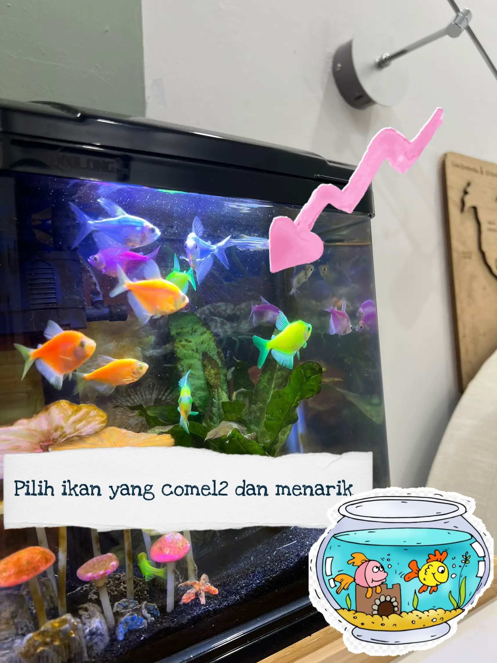 Mini Aquarium Dalam Bilik Tidur Anak🐠🐬🐋 | Galeri disiarkan oleh ...