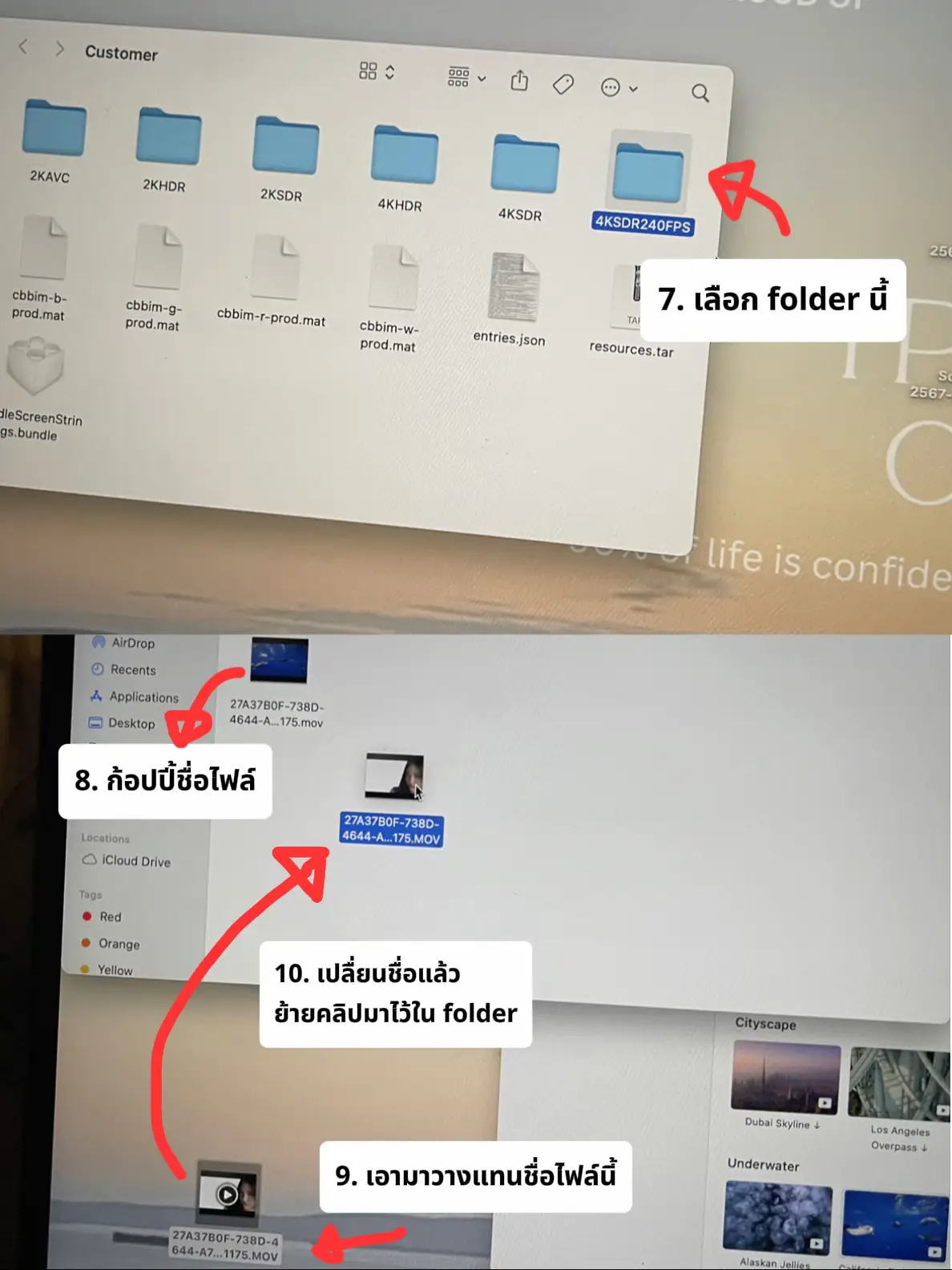 วิธีแปลงไฟล์เป็นmp3 - การค้นหาใน Lemon8