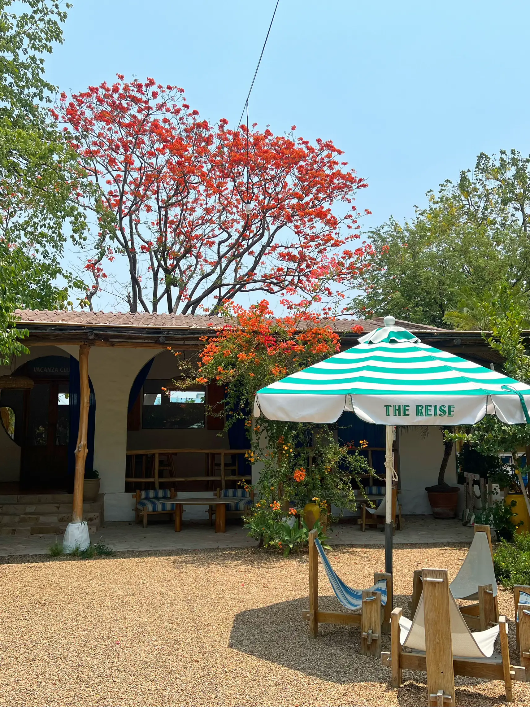 The reise ร้านอาหารอิตาเลียน น่ารักมาก 🍋⛱️ | แกลเลอรีที่โพสต์โดย mameaw ...