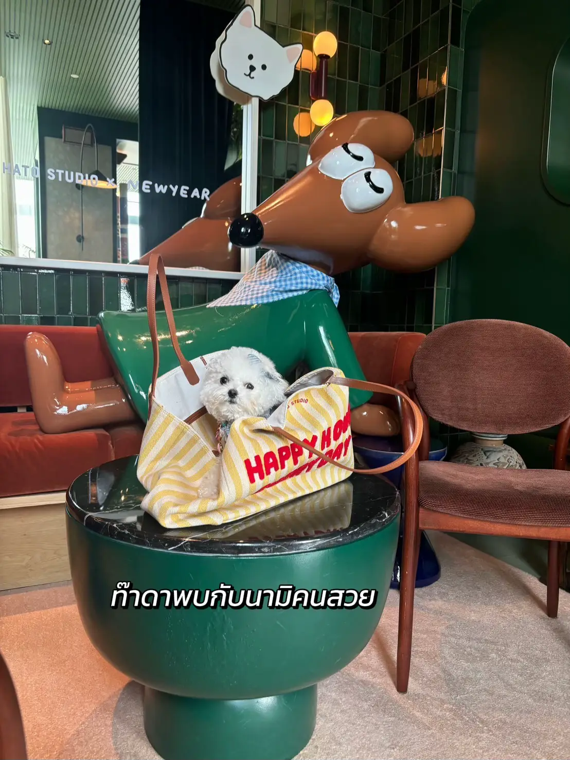 แนะนำกระเป๋าแบรนด์คนไทย Chato Studio คอลใหม่ 🐶 | แกลเลอรีที่โพสต์โดย หมาNami Bichon | Lemon8