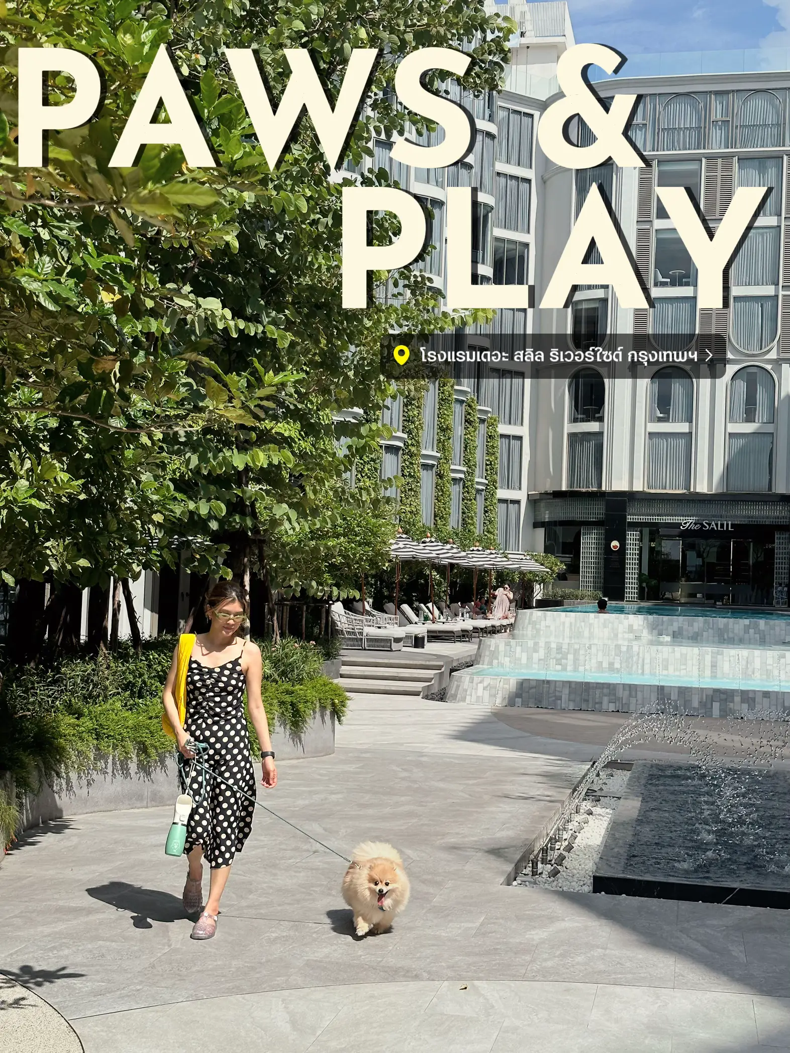 พาหมาเที่ยว หรือหมาพาเที่ยว🦮 | แกลเลอรีที่โพสต์โดย Pimm | Lemon8