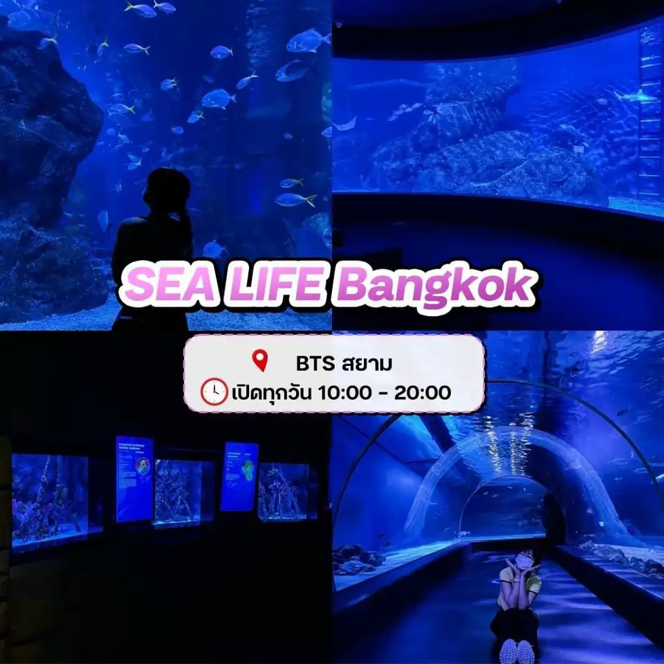 แจกพิกัด 10 ที่เที่ยวฮีลใจสายอินโทรเวิร์ต 🌷 | แกลเลอรีที่โพสต์โดย Proxumer | Lemon8