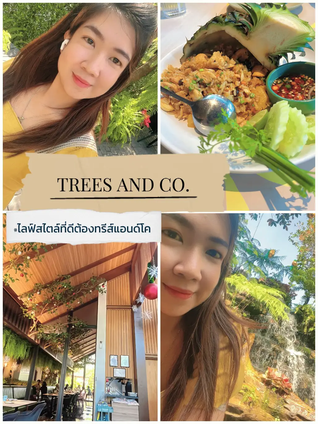 Trees and Co. | แกลเลอรีที่โพสต์โดย Jang Karuna | Lemon8