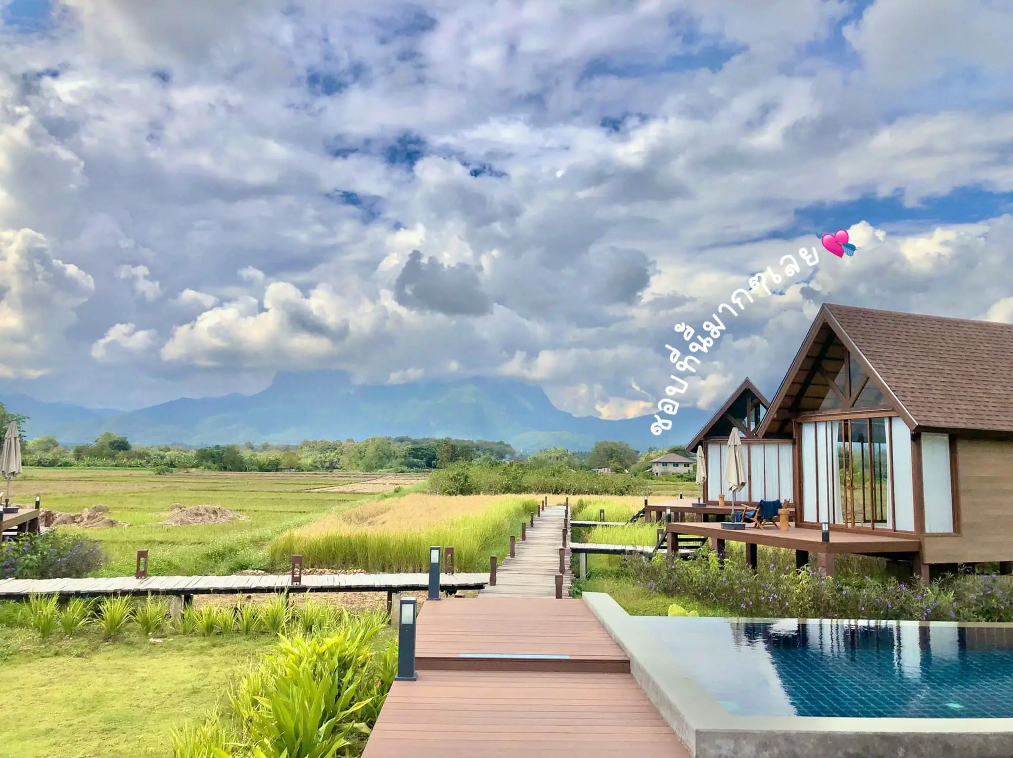 Dara Dao | Gallery posted by Baby.Jane | Lemon8