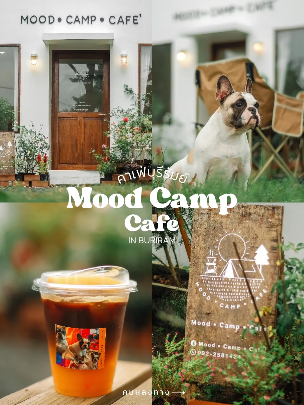 Mood Camp : คาเฟ่สไตล์ มินิมอล จ.บุรีรัมย์ ☕🐶 | แกลเลอรีที่โพสต์โดย ค น ...
