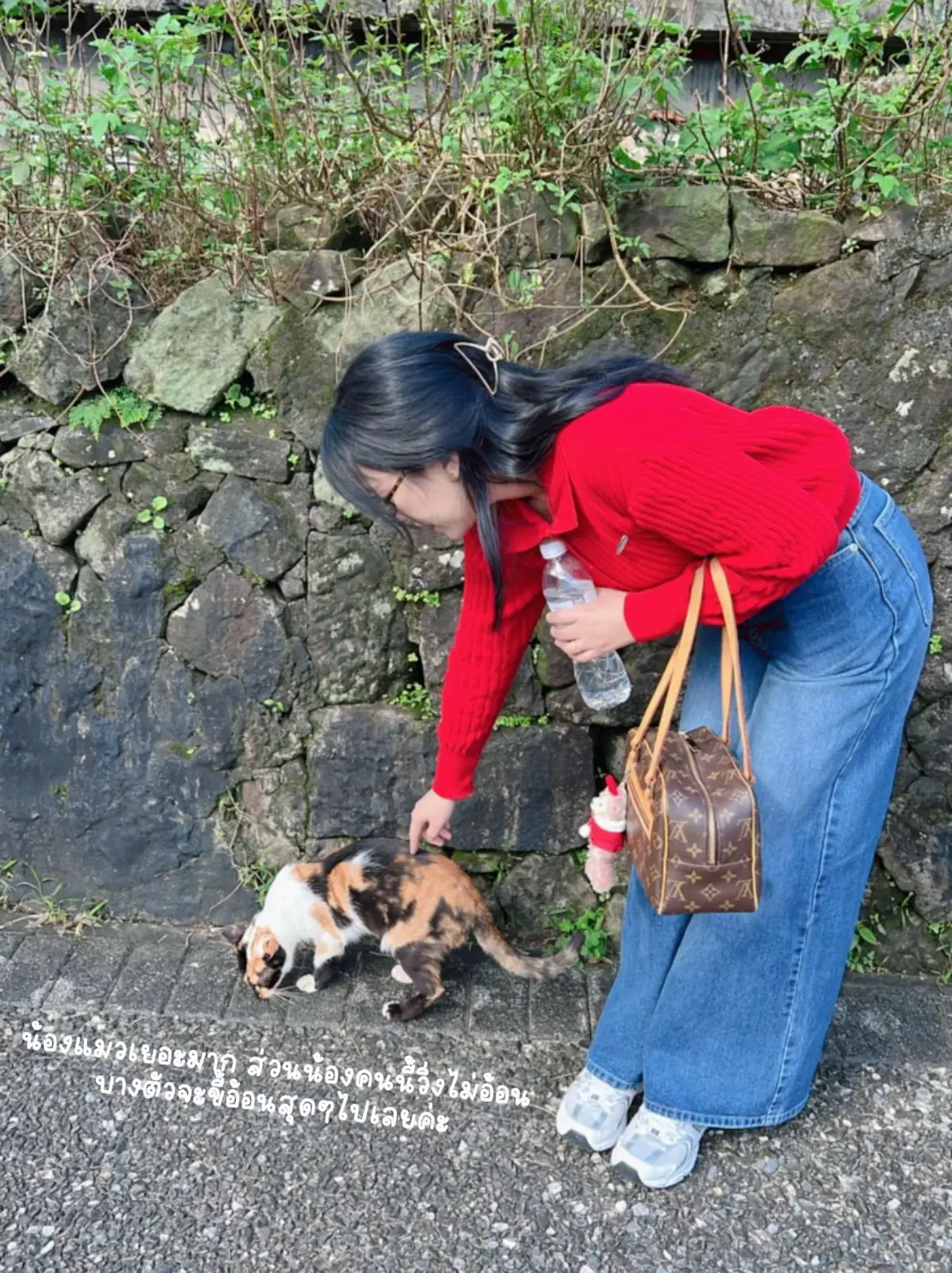 Houtong Cat Village หมู่บ้านแมวที่ไต้หวัน 🇹🇼🐈🐈‍⬛ | แกลเลอรีที่โพสต์โดย Sobee.story 🎀 | Lemon8