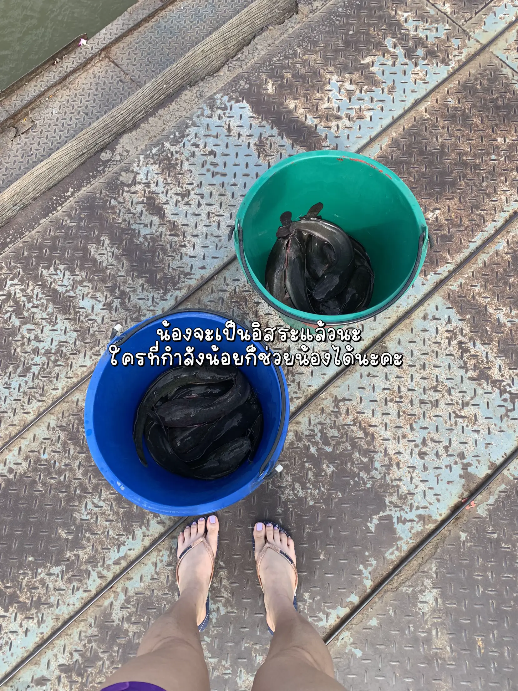 ทำบุญแบบ 1 Day Trip ใกล้กทม | แกลเลอรีที่โพสต์โดย Emi | Lemon8