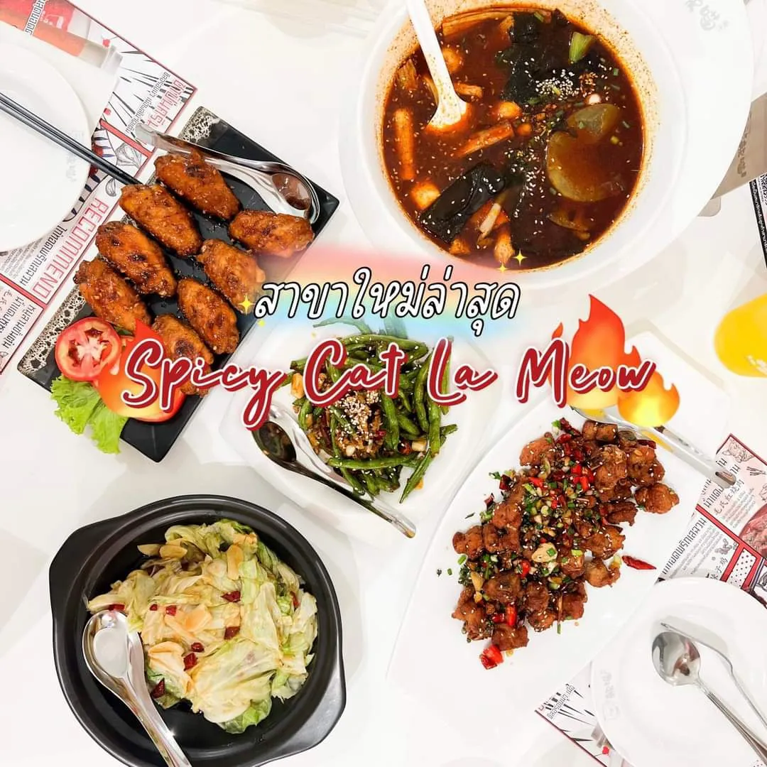 สาขาใหม่ล่าสุด Spicy Cat ล่าเมียว La Meow | แกลเลอรีที่โพสต์โดย ฅน ติด ...