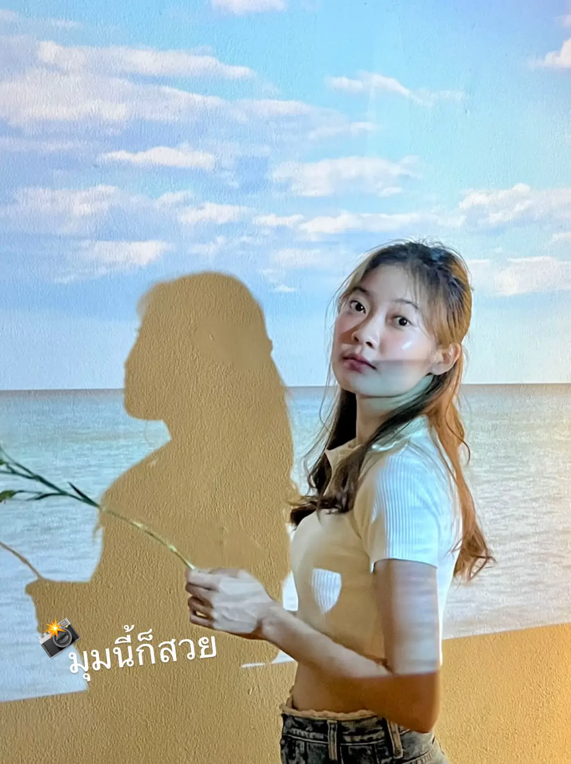 Also cafe Chiangmai | แกลเลอรีที่โพสต์โดย -Bonus- | Lemon8