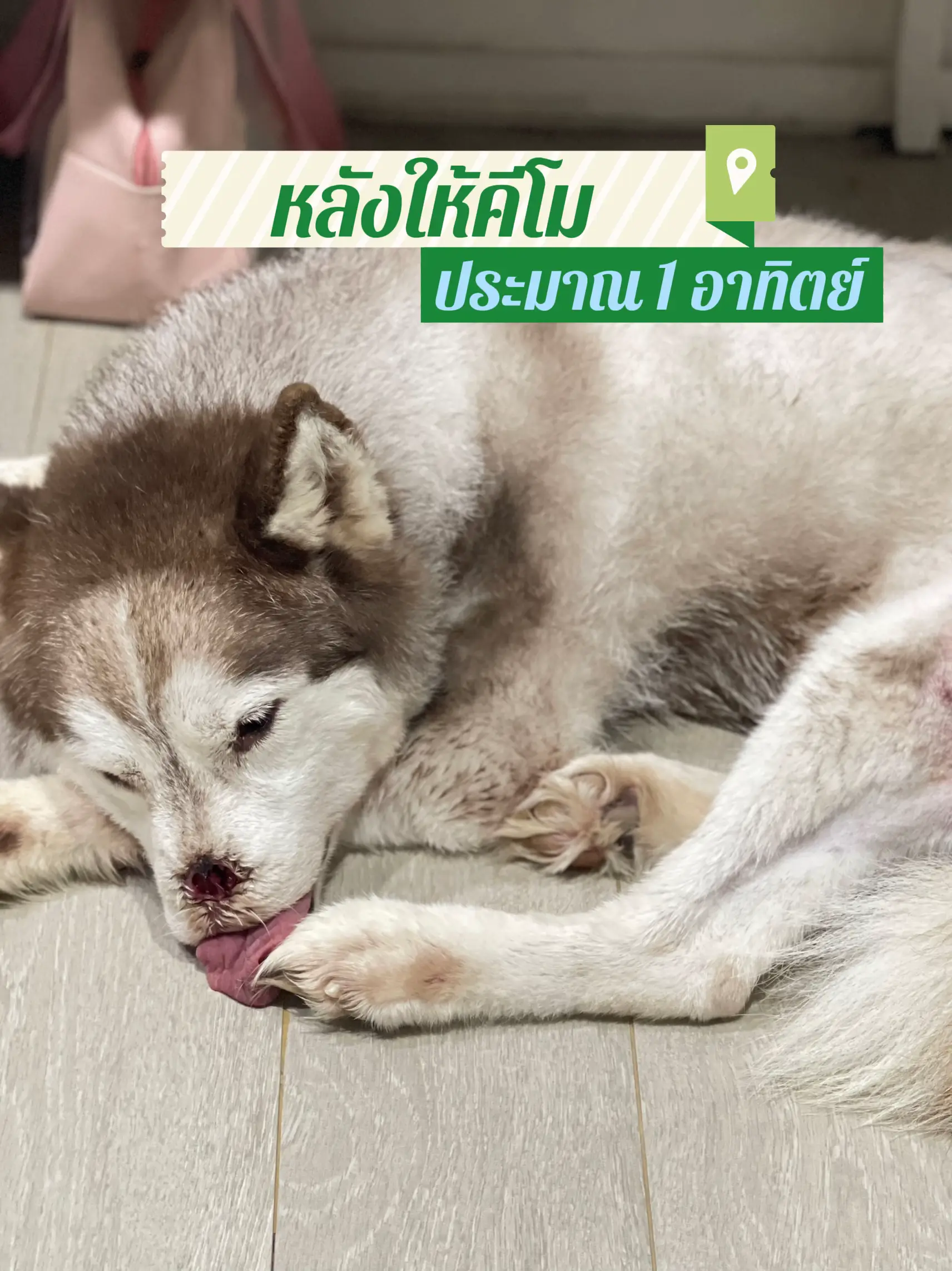 EP.3 | แกลเลอรีที่โพสต์โดย Pueng | Lemon8