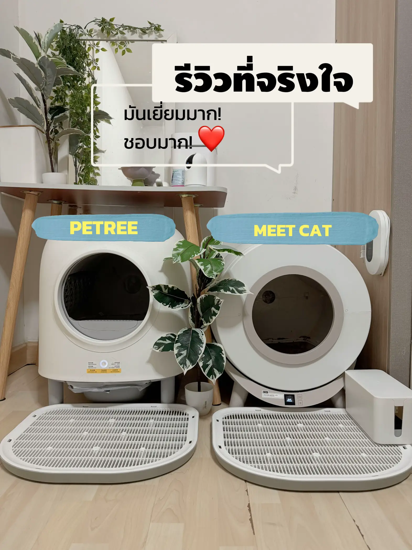ห้องน้ำแมวอัตโนมัติ Meetcat กับ Petree🐱 | แกลเลอรีที่โพสต์โดย Fon_eats ...