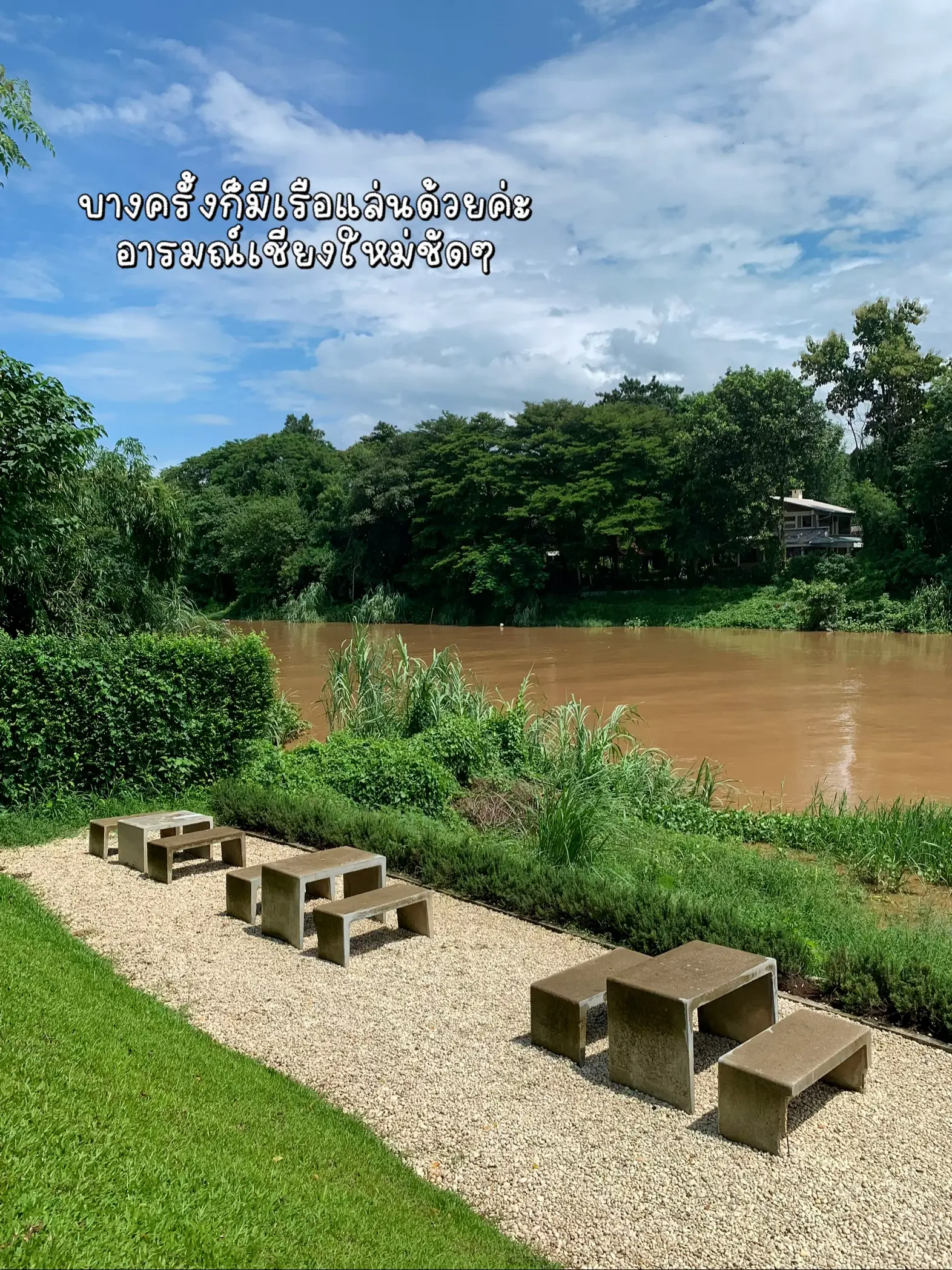 The Baristro at Ping River คาเฟ่สไตล์มินิมอลติดริมแม่น้ำปิง | แกลเลอรี ...