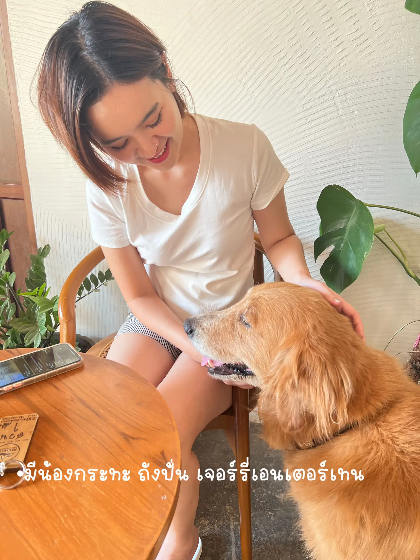 ที่พักระยอง Pet friendly 100% | แกลเลอรีที่โพสต์โดย EVENPS🐥 | Lemon8