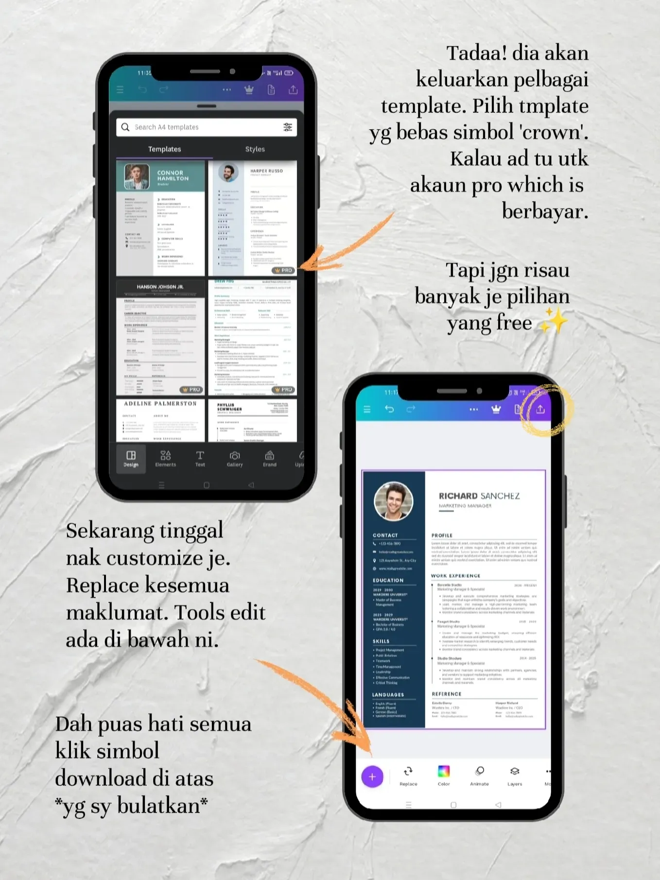 cv template free edit - Carian Lemon8