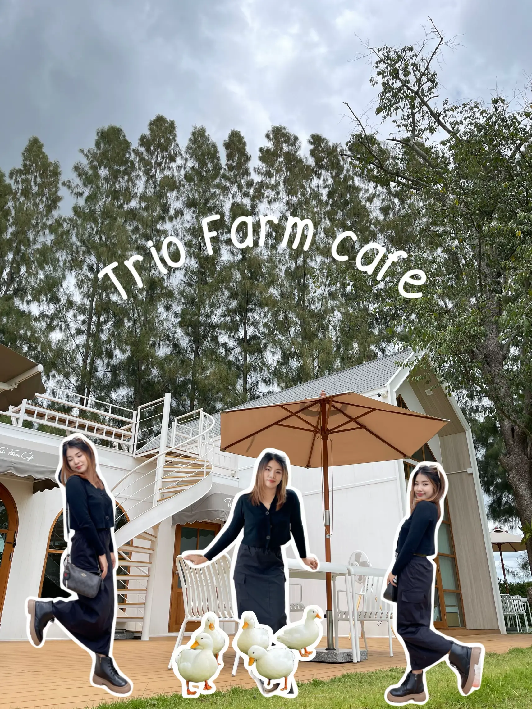 Trio Farm cafe | แกลเลอรีที่โพสต์โดย Natsuda | Lemon8