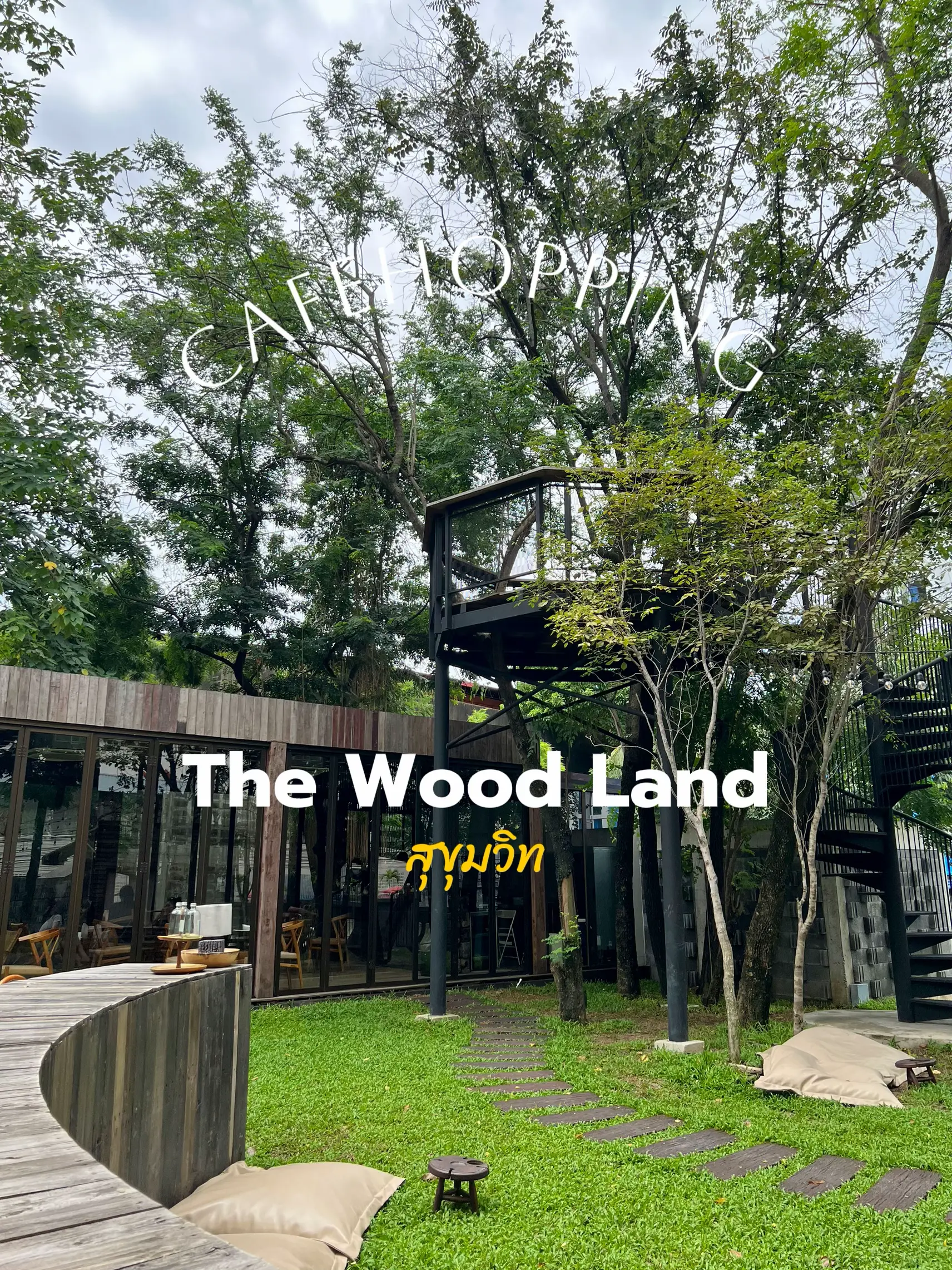 thewoodlandofficial - การค้นหาใน Lemon8