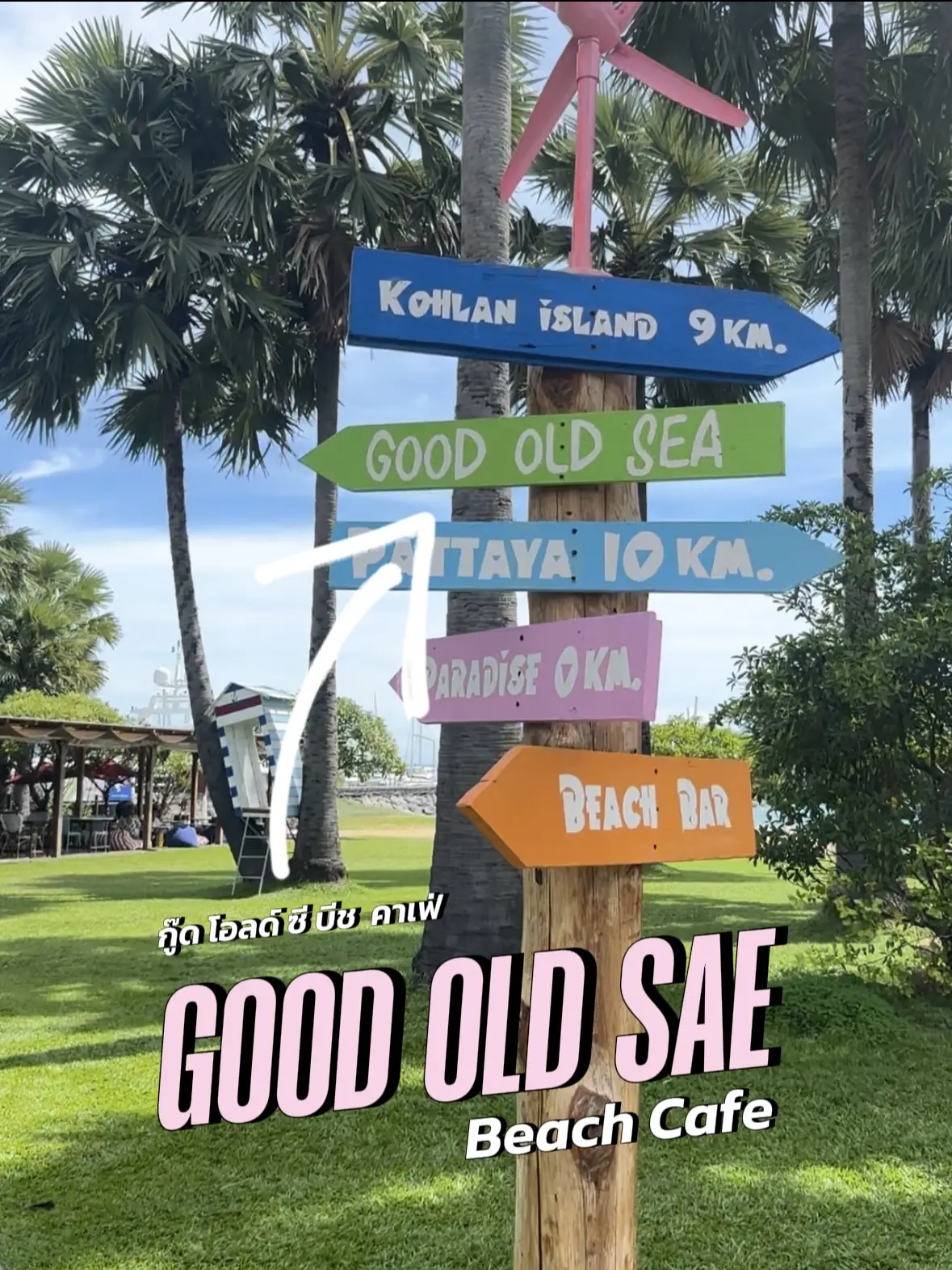 Good old sea beach cafe เป็นคาเฟ่ติดทะเล ร่มรื่น | แกลเลอรีที่โพสต์โดย ...