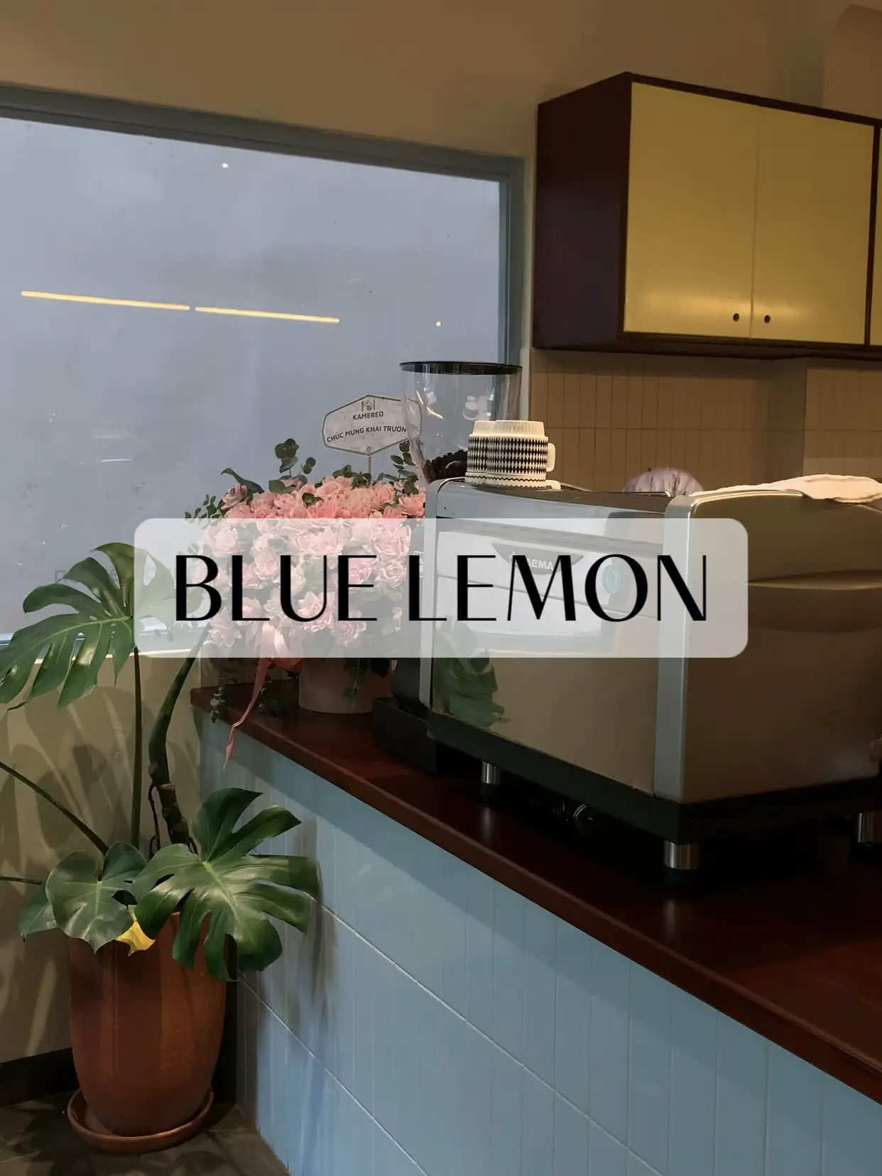 BLUE LEMON - TRÁI CHANH THỨ HAI TẠI BÌNH THẠNH | Bộ sưu tập do Bạc xỉu ...