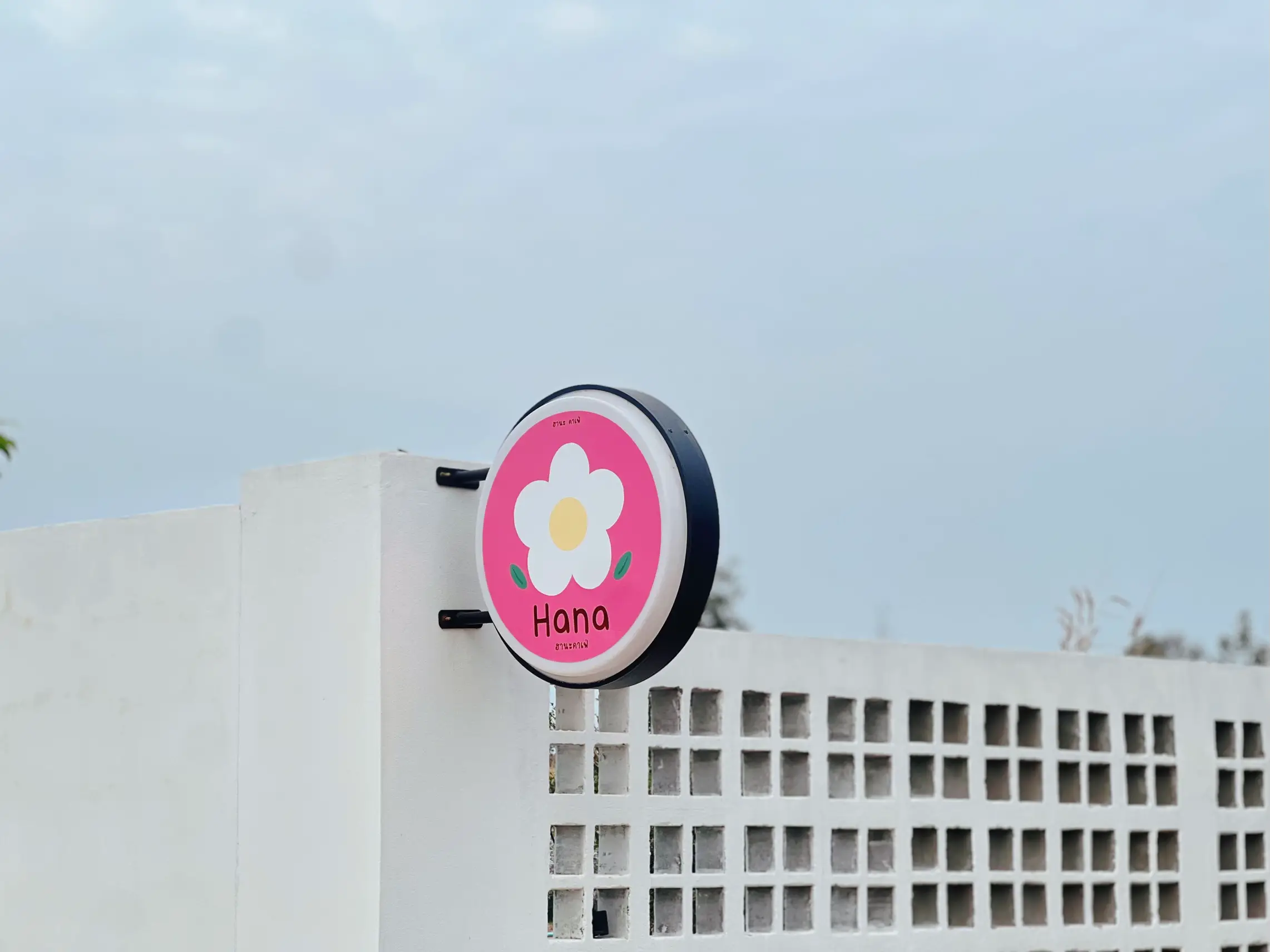 Hana Cafe’ | แกลเลอรีที่โพสต์โดย Ars Tom | Lemon8