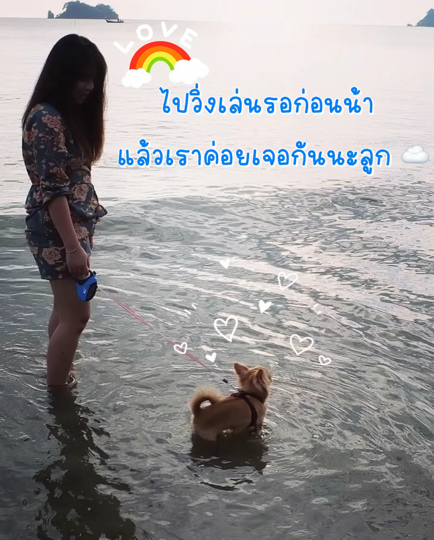 วันที่เจ้าลูกหมาจากไป …. | แกลเลอรีที่โพสต์โดย All.julaP 🧸 | Lemon8